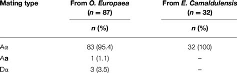 Mating Types Of Cryptococcus Neoformans And C Deneoformans According