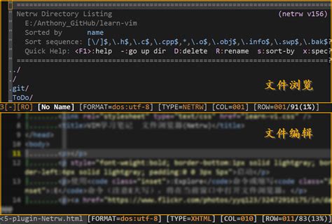 Vim学习笔记 文件浏览器netrw 知乎