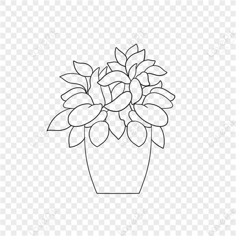 즙이 냄비 공장 일러스트 클립 아트 흑백식물다육 식물 Png 일러스트 무료 다운로드 Lovepik