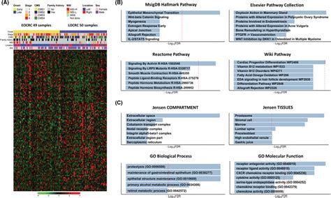 Visualization Of Differentially Expressed Genes Degs Identified Download Scientific Diagram