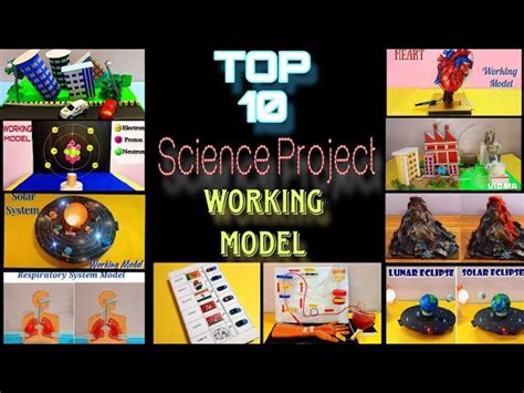10th Grade Science Fair Project Ideas Thoughtco Sample Of Discussion
