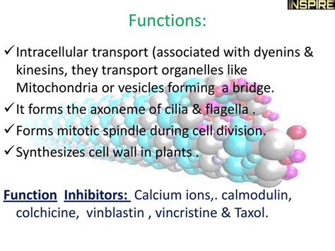 By JIGAR S MEHTA Asst Professor BIOCHEMISTRY M Sc B Ed M B A Ppt Download