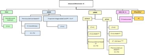 Treatment Strategies For Advanced Endometrial Cancer According To