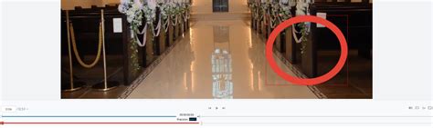 Dosent Work Tpermissioncheckcallback In Webviewer Video Webviewer