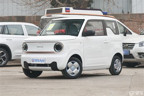 熊猫熊猫mini 200km 耐力熊侧前45度车头向左水平图片 汽车图片大全 易车