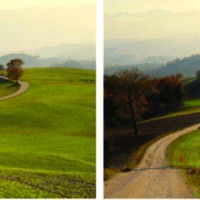 Copy Move Forgery 13 Download Scientific Diagram