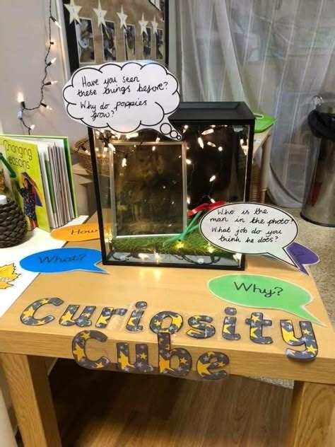 30 Curiosity Cube Ideas Curiosity Approach Eyfs Curiosity Box Curiosity Approach