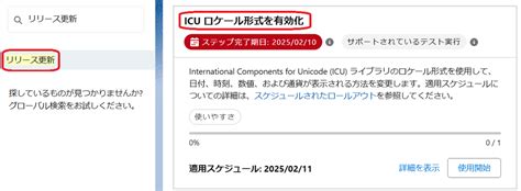 icuロケール形式の有効化｜セキュリティ・開発・運用｜salesforce サクセスナビ