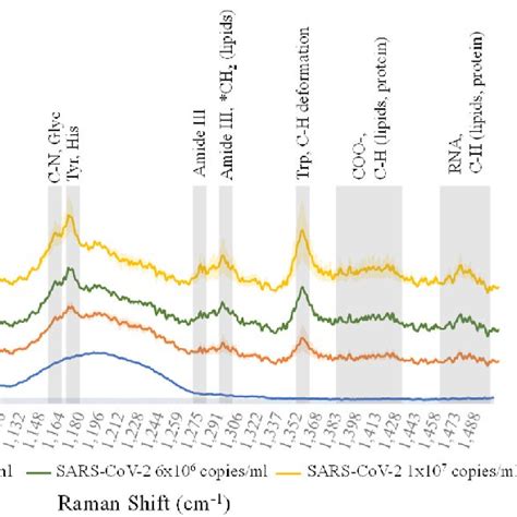 2a Shows A Staggered Plot Of The Mean Raman Spectra Of Sars Cov 2 In Download Scientific