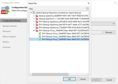 Step 2 Choose Backup File Veeam Backup For Oracle Linux