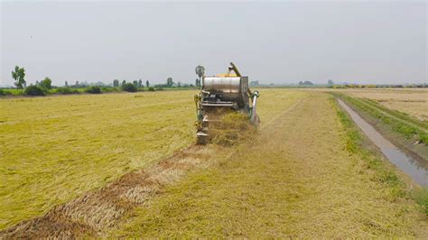 건조하거나 잘 익은 논 작물 밭 수확 농업 제조 업체 재배 생산에 작업 트랙터 논의 공중 최고 보기 자연 환경 풍경 태국 의