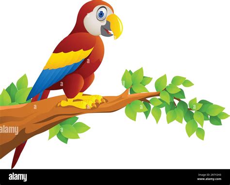 Vector Illustration Of Macaw Bird Isolated Stock Vector Image And Art Alamy