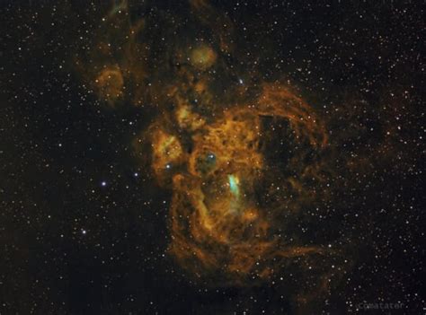 The Lobster Nebula Etsy