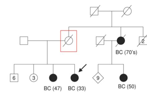 Complications Of Mendelian Inheritance Flashcards Quizlet