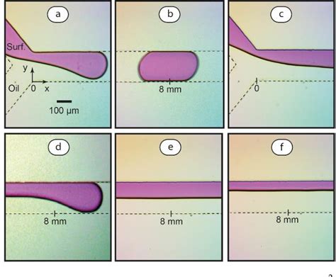 Figure 3 From Tuning Properties Of Polyelectrolyte Surfactant