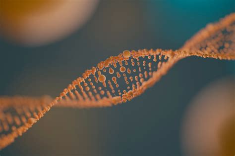 Genetic Markers Of Quantitative Trait Loci For Phenotypic Manifestation Of Thalassemia Major