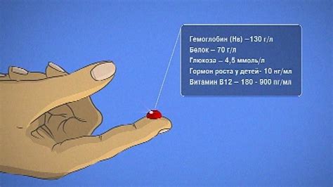 Телеканал Карусель