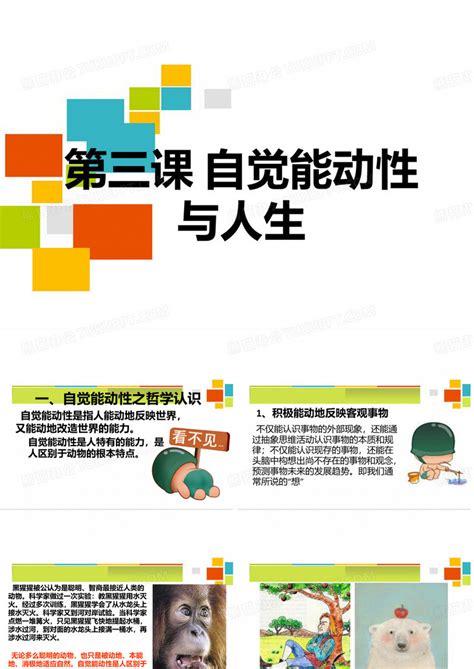 《哲学与人生》第三课ppt模板下载编号ldmnreoq熊猫办公