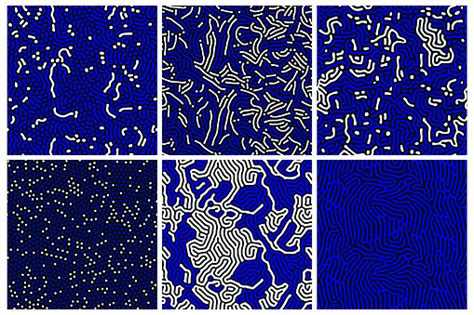 둥근 선 드립으로 설정된 유기 원활한 패턴 확산 반응 배경 생물학적 모양의 선형 설계 자연 세포 미로 산호의 구조 추상 벡터 그림입니다 0명에 대한 스톡 벡터 아트 및 기타