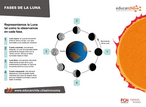 Fases De La Luna Descubre Sus Nombres Y Características Obtgjg