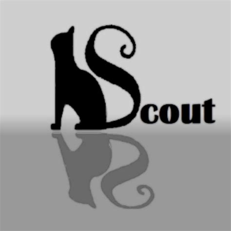 Scout YouTube