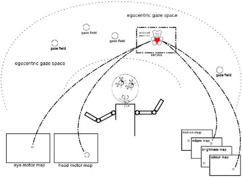 Figure 1 From Perception Of Localized Features During Robotic Sensorimotor Development