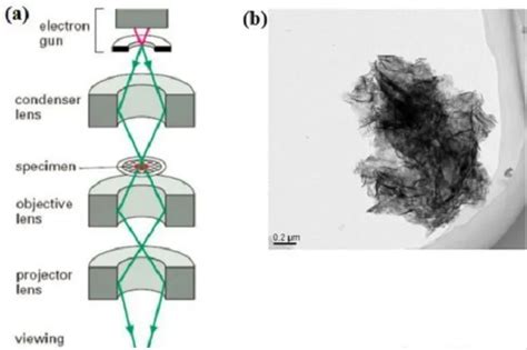 电子背散射衍射（ebsd）技术：晶界、亚晶及孪晶性质的分析 车灯研究院