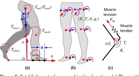 Figure 5 From Ground Contact Force And Moment Estimation For Humanexoskeleton Systems Using