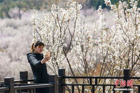 徐州聖人窩花團錦簇盡顯美麗山村 每日頭條