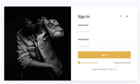Design Form Page Eye Catching Landing Page Admin Panel In Html Css