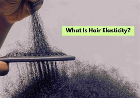 What Is Hair Elasticity Hair Expert Reveals Elasticity Testing