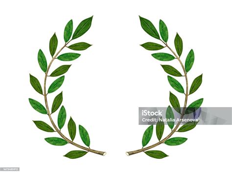 수채화 월계수 잎 화환은 흰색 배경에 분리되어 있다 스포츠 업적 수상 승리 및 성공에 대한 손으로 그린 그림 개화기에 대한 스톡 벡터 아트 및 기타 이미지 Istock