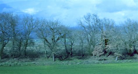 개요 흐림 푸른 잔디와 프랑스에서 나무의 자연 풍경 18 3 월 2018 0명에 대한 스톡 사진 및 기타 이미지 0명 가을 경관 Istock