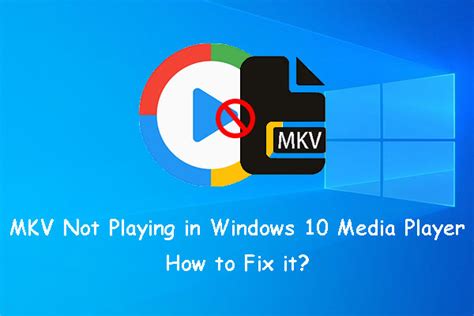 Windows Media Player Mkv Codec Widamer