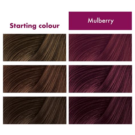 We Are So Excited To Introduce Our New Flowerology Temporary Colour