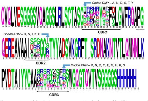 Figure 2 From Design And Construction Of A Synthetic Nanobody Library Testing Its Potential