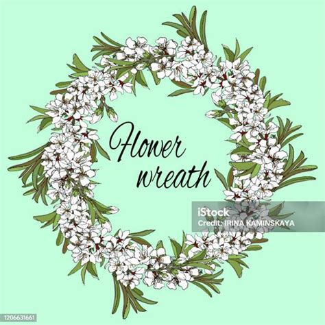 하얀 꽃화환 초대장과 축하를위한 벡터 손으로 그린 봄 그림 그리기에 대한 스톡 벡터 아트 및 기타 이미지 그리기 꽃 식물 디자인 Istock