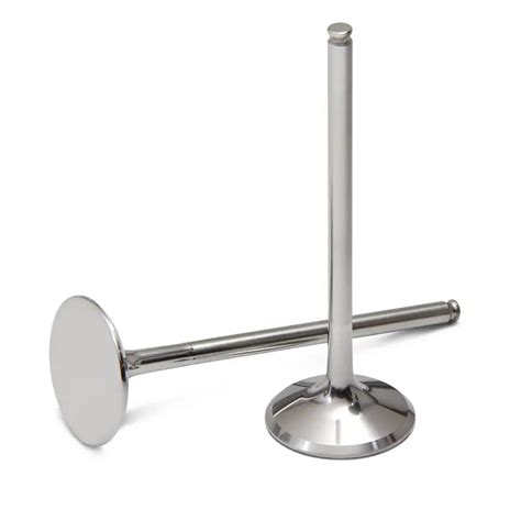 Intake Valves
