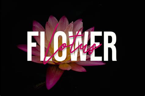 Hello Monday Font Duo On Behance