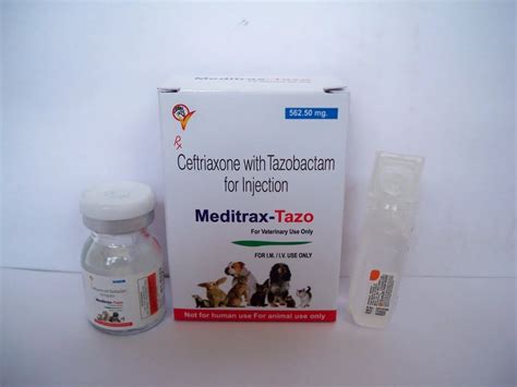 Ceftriaxone Tazobactam Injection 562 5 Mg 2 25 G At Best Price In Baddi