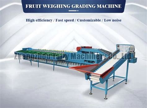 Commercial Cucumber Grading Machine Chicken Legs Chicken Wings Weight Sorting Machine Fruit