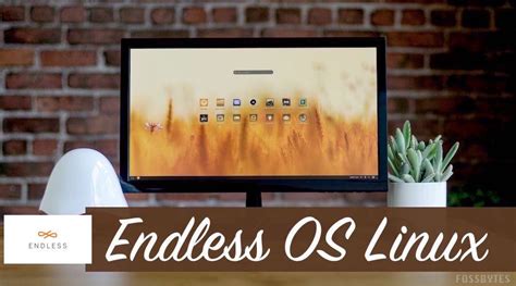 easy to use linux distro endless os now available for free to everyone