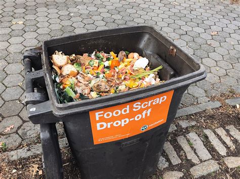 Why New Yorkers Should Compost A Sustainable Village