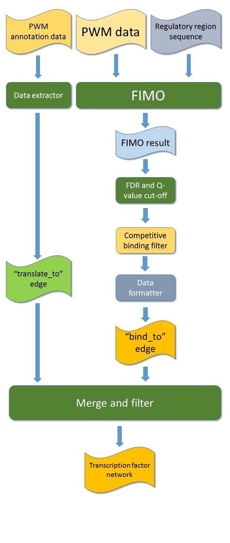 workflow to construct a transcription factor network download scientific diagram