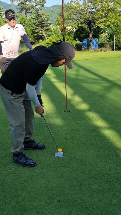 대판입니다😱ㅋ골프골프존스크린골프nx골프존cc필드필드골프필드레슨웨지퍼터아이언비거리골프레슨숏게임숏아이언드라이버롱아이언우드유틸루틴퍼터레슨퍼팅