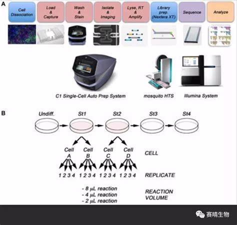 单细胞测序 癌症精准医疗研究的“前景”（文库前置技术 2016 ） 搜狐大视野 搜狐新闻
