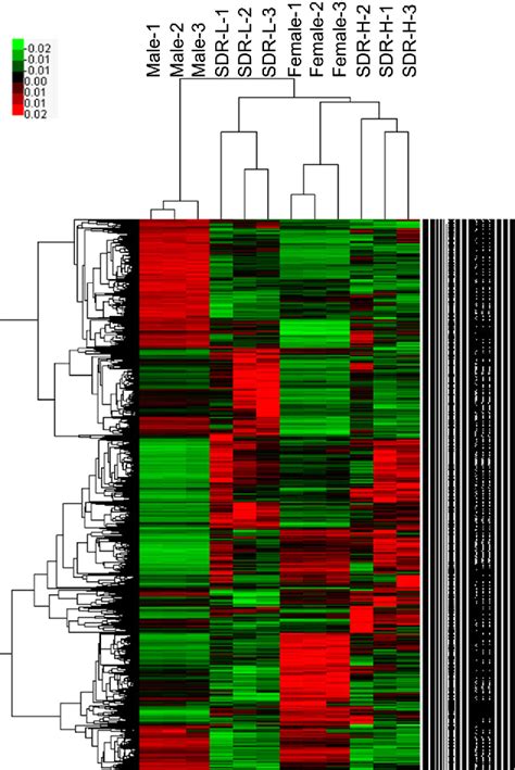Table 1 From Differential Transcriptome Analysis Between Populus And Its Synthesized