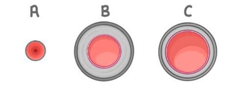 Biology Gcse Flashcards Quizlet
