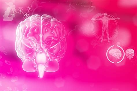 의료 3d 일러스트 인간의 뇌 신경학 연구 개념 매우 상세한 현대 배경 이나 질감 0명에 대한 스톡 사진 및 기타 이미지 0명 3차원 형태 개념 Istock