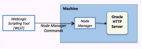 Introduction To Oracle Server